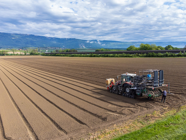 Notre Histoire | Stoll Légumes SA à Mathod
