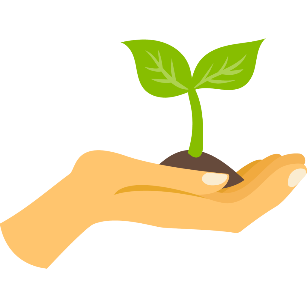 Notre Histoire | Stoll Légumes SA à Mathod